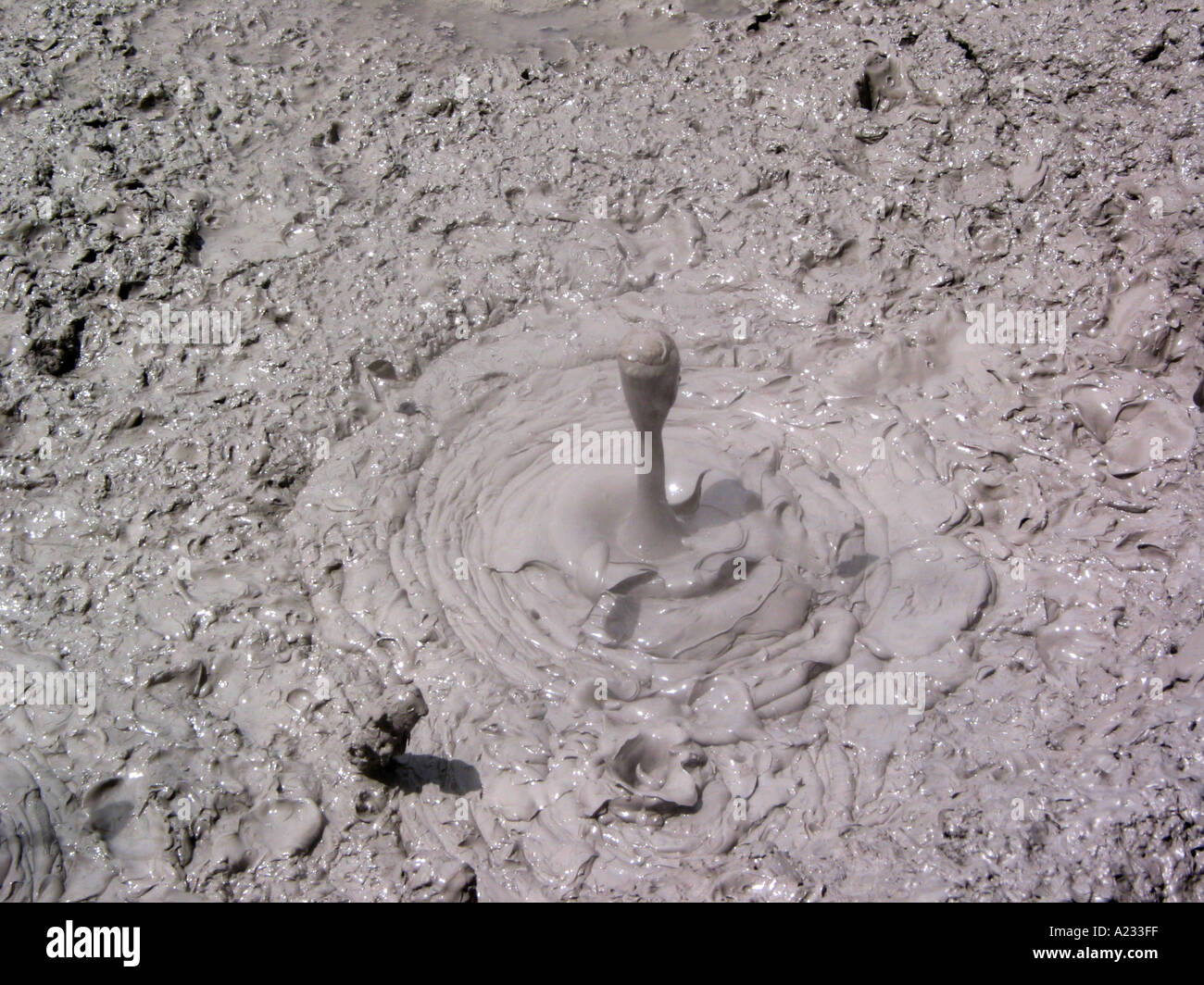 Mud pool near Rotorua Stock Photo - Alamy