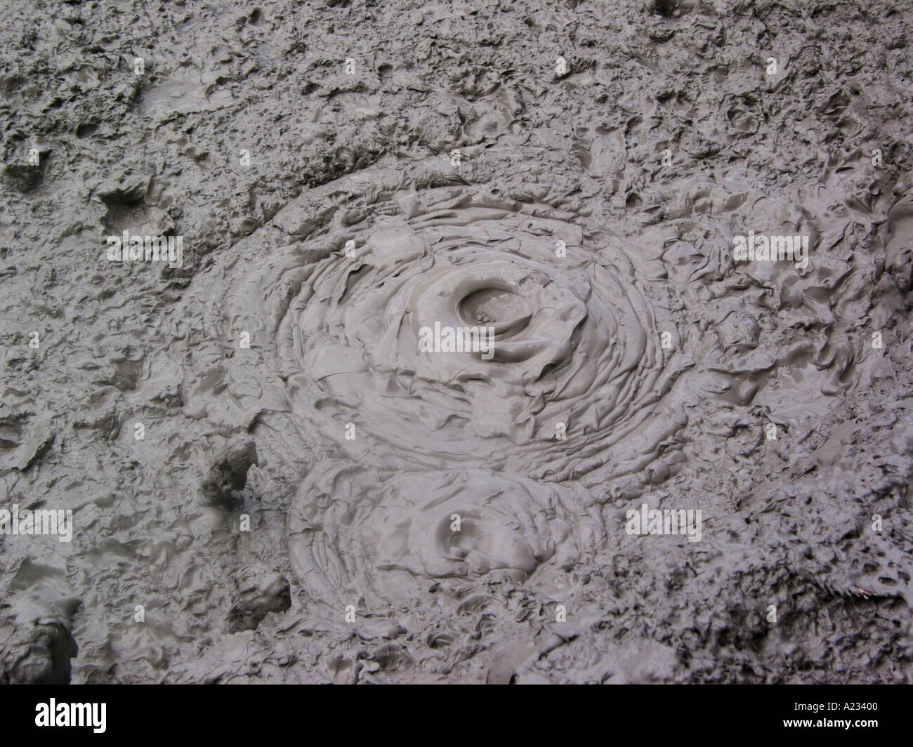 Mud pool near Rotorua Stock Photo - Alamy