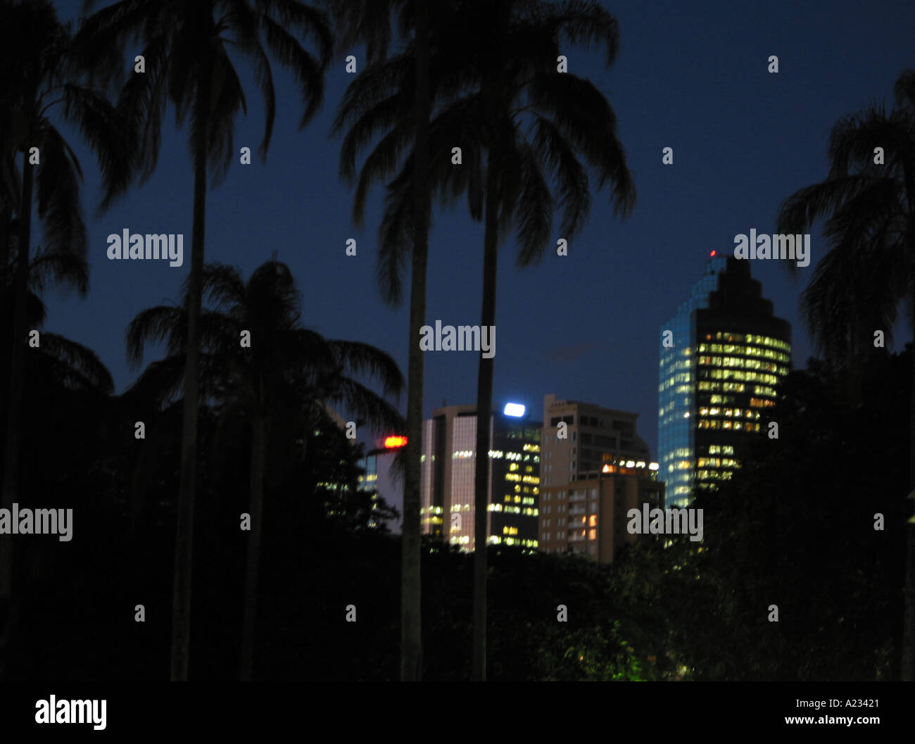 Brisbane cbd through botanical gardens hi-res stock photography and ...