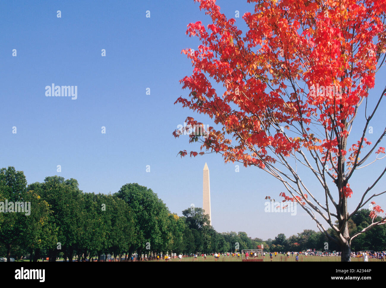 Washington DC The Washington Monument in Autumn Fall Foliage Stock ...