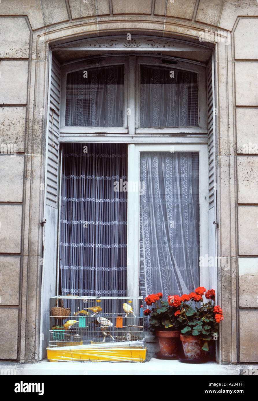 France Paris Old building with flower pots and a canary cage, birdcage ...