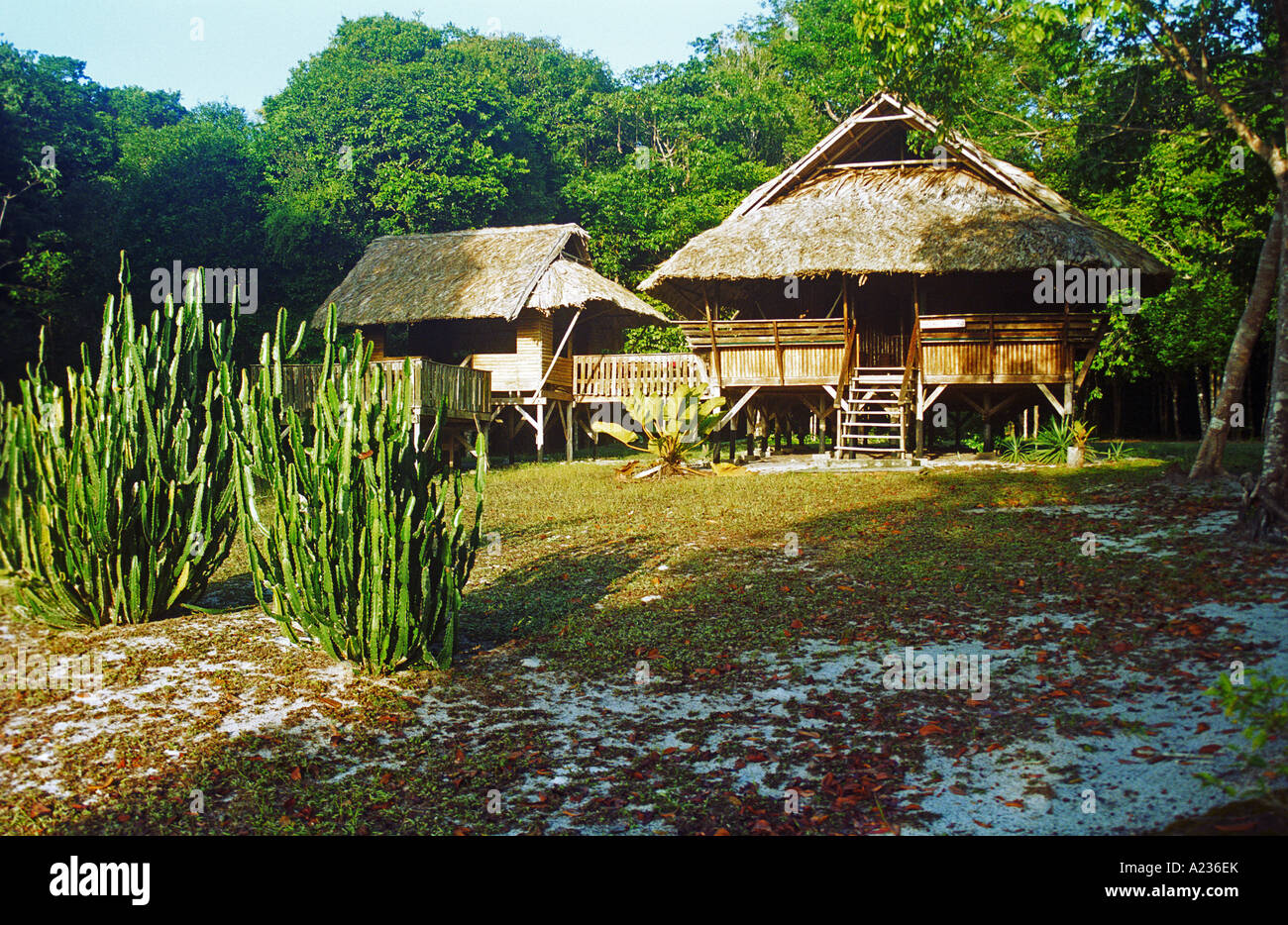 Timberhead Rainforest Lodge, Guyana, South America Stock Photo - Alamy