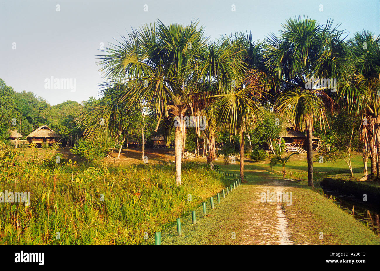 Timberhead Rainforest Lodge, Guyana, South America Stock Photo - Alamy