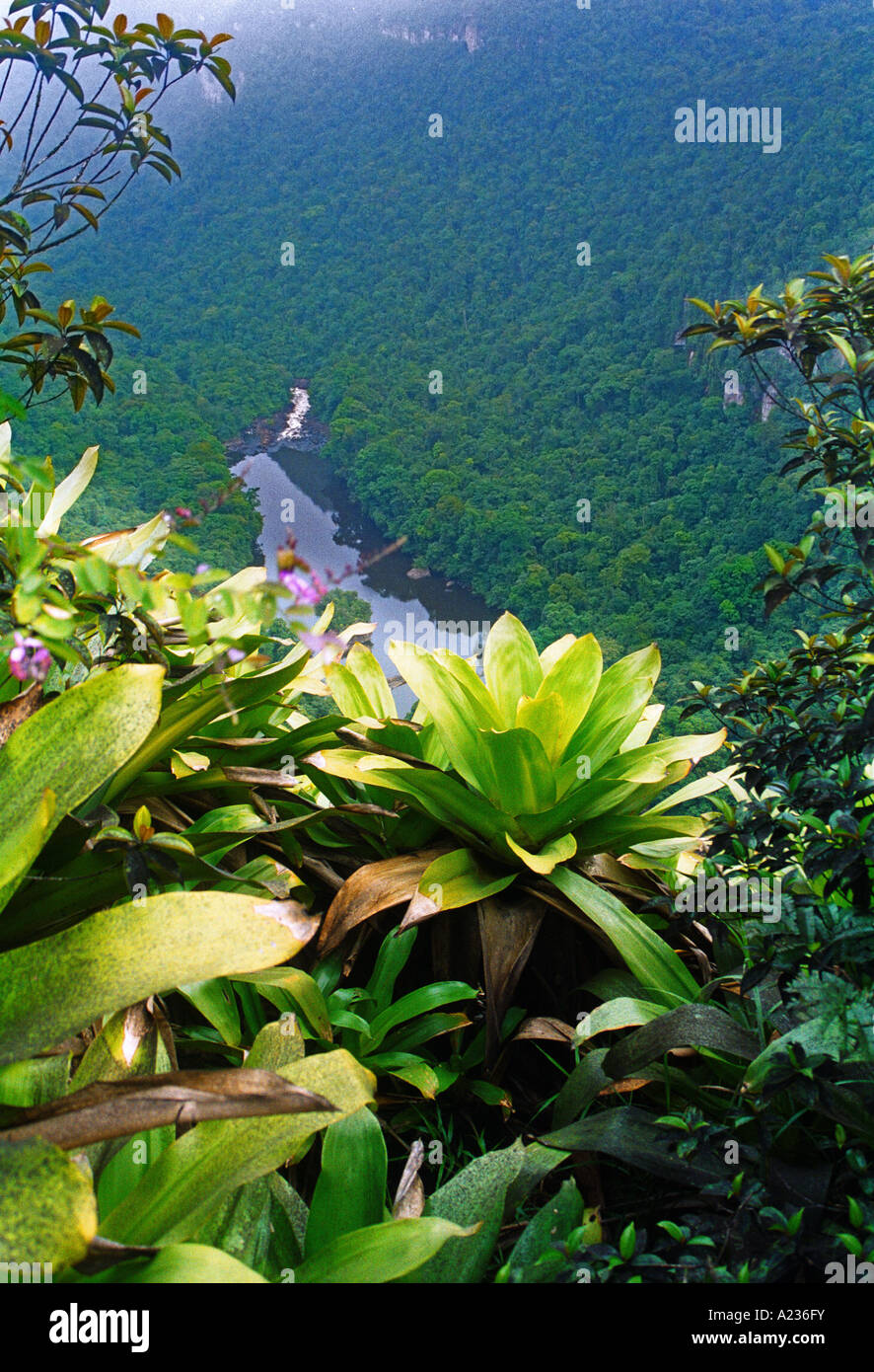 Potaro River from Kaieteur Falls, Guyana, South America Stock Photo - Alamy