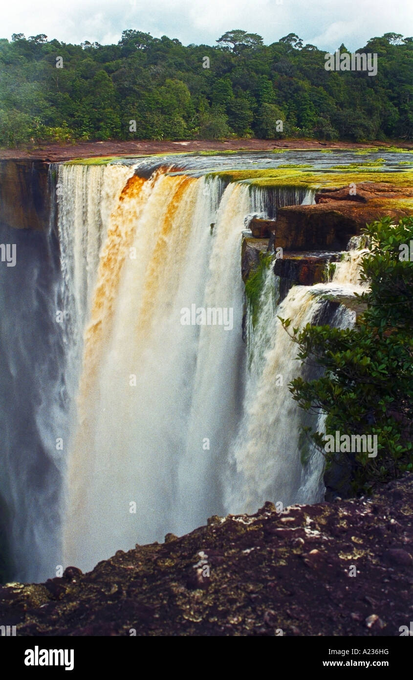 Guyanese jungle hi-res stock photography and images - Alamy