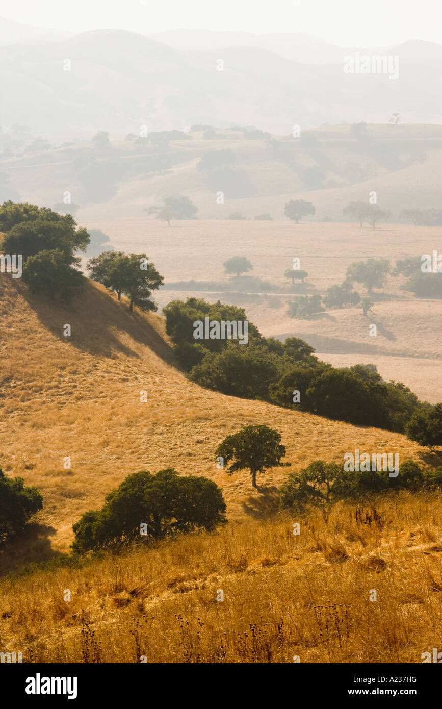 Zaca hi-res stock photography and images - Alamy