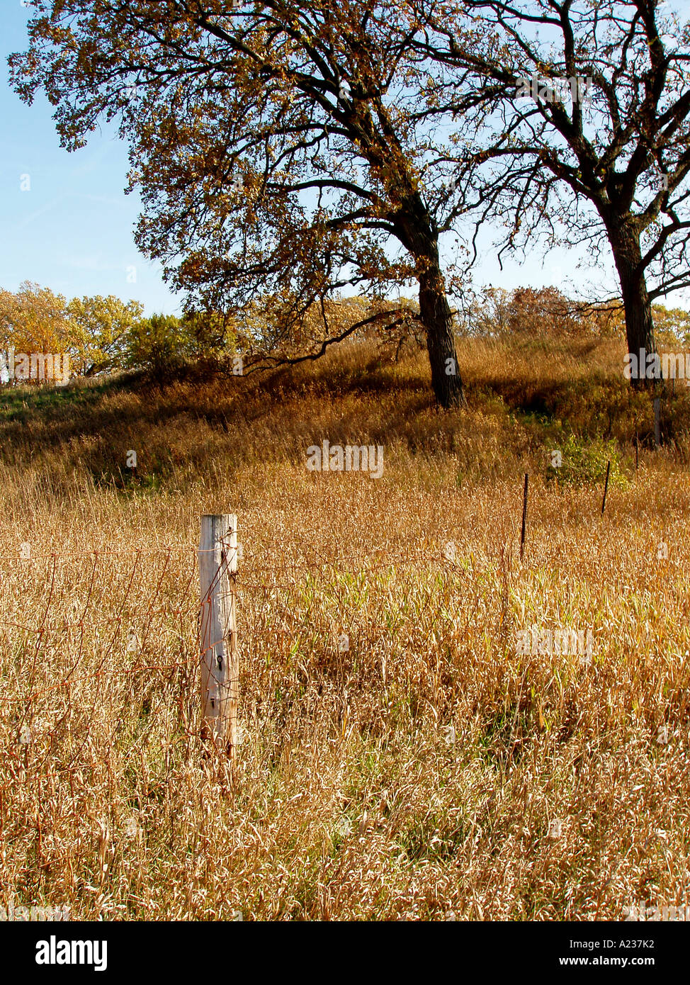 Elm farm country park hi-res stock photography and images - Alamy