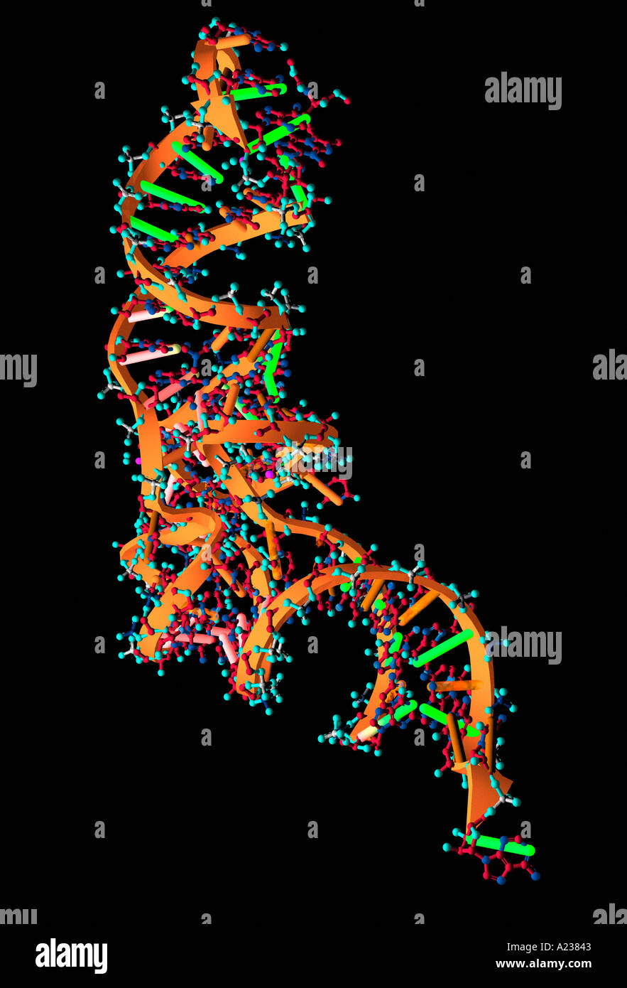 Functions of the brain hi-res stock photography and images - Alamy