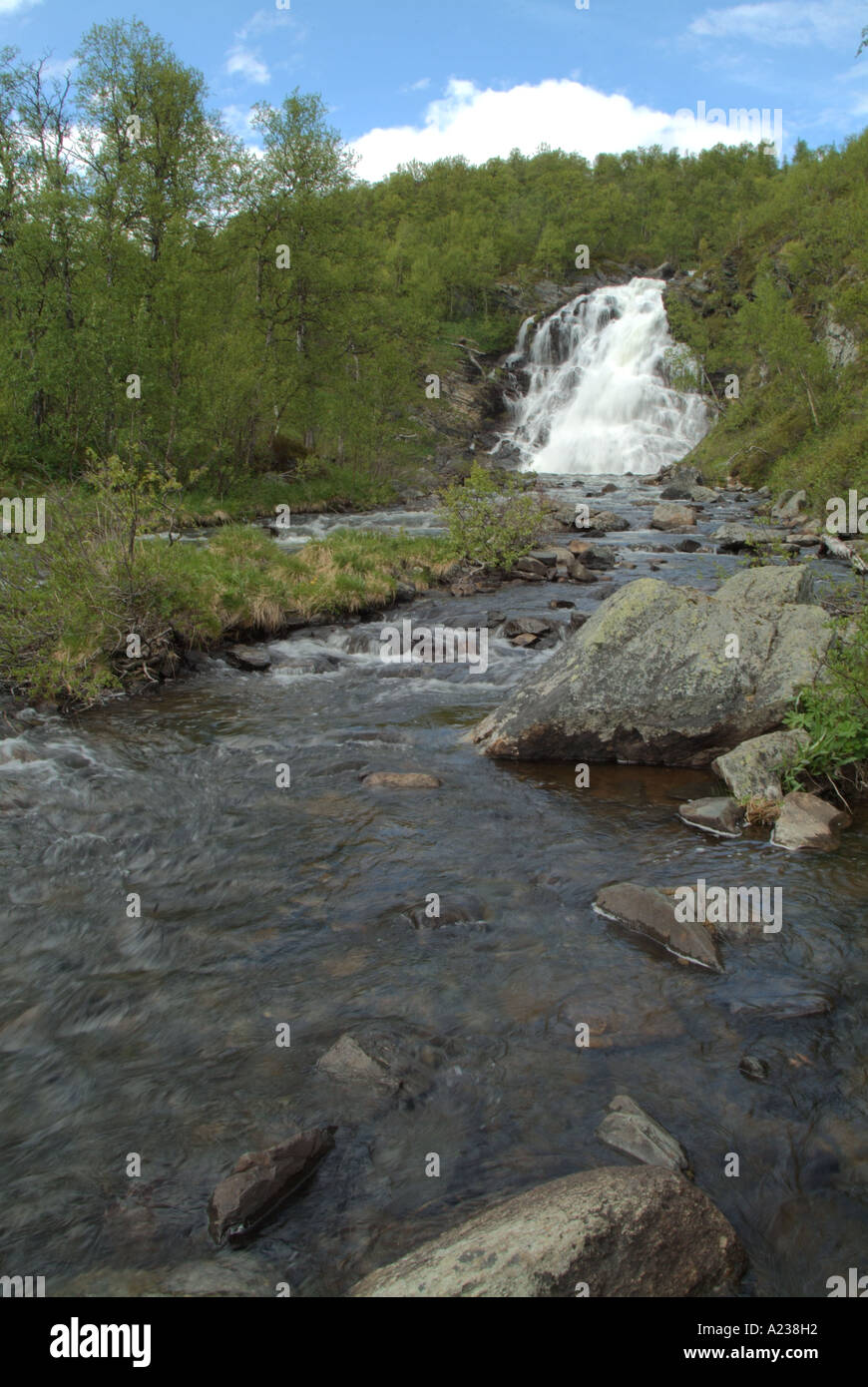 Swedish waterfall near the norwegian border (Jämtland Stock Photo - Alamy