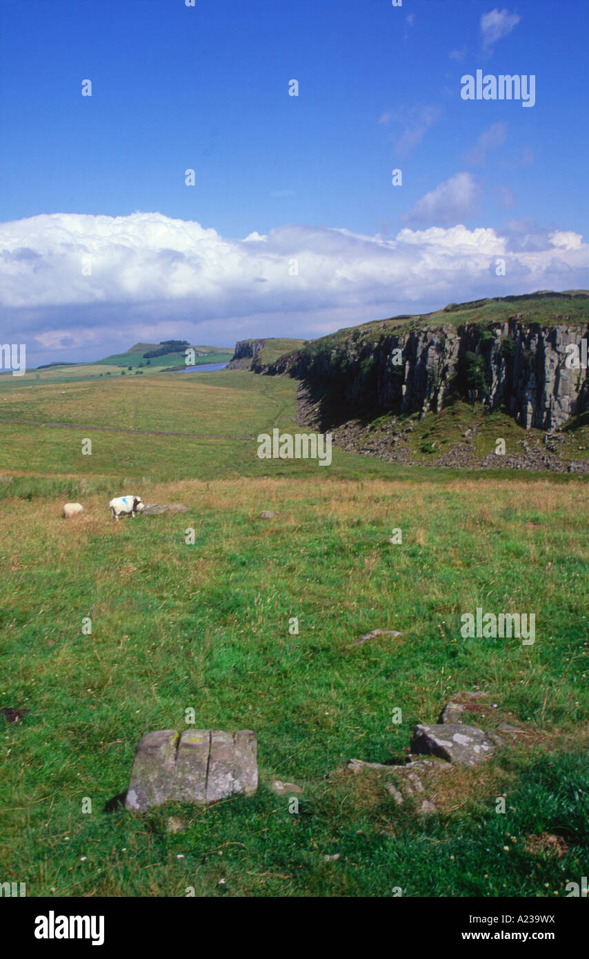 Steel rigg crag outcrop and hadrians wall hi-res stock photography and ...
