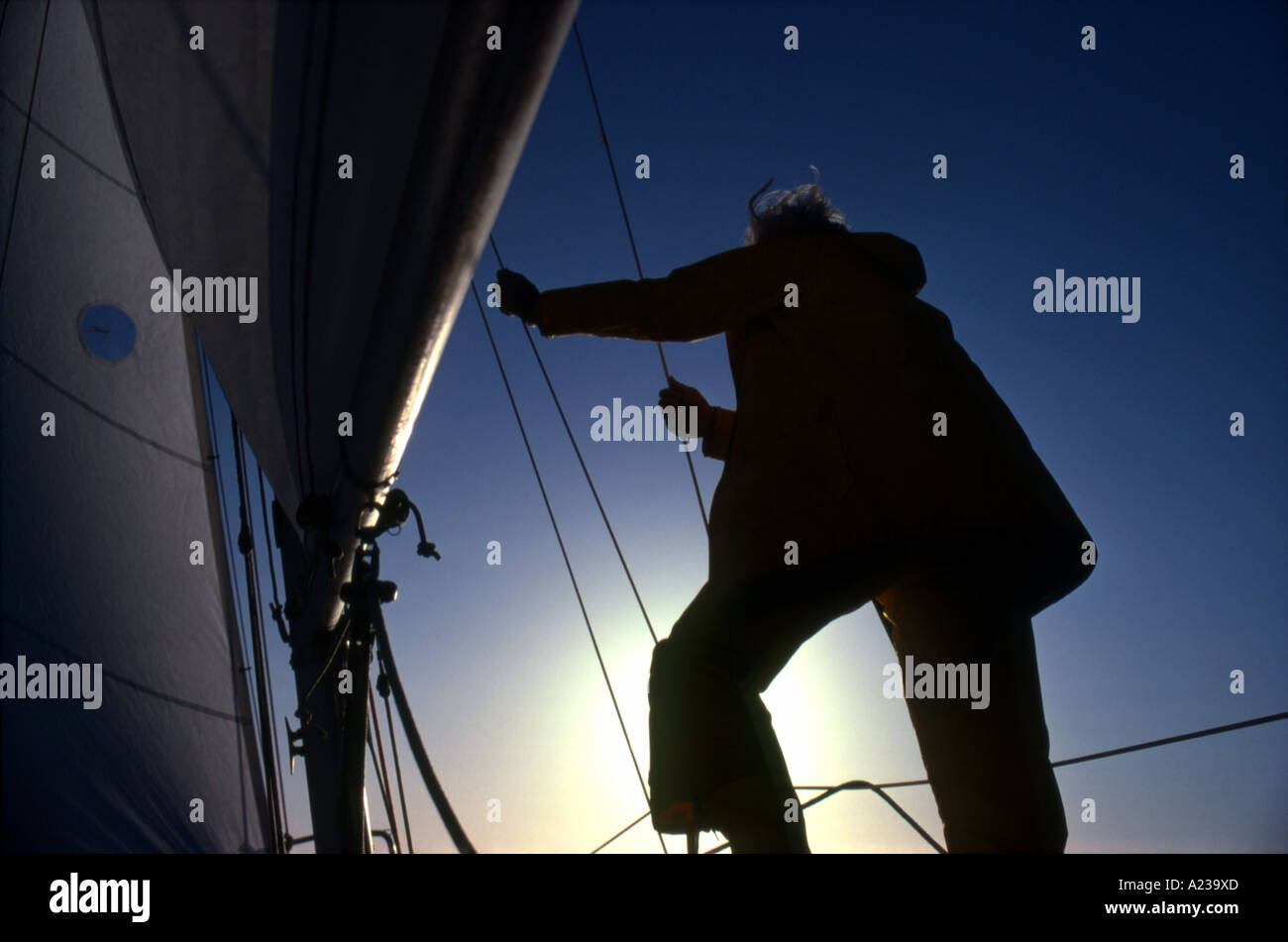 Sailor on Deck Stock Photo - Alamy