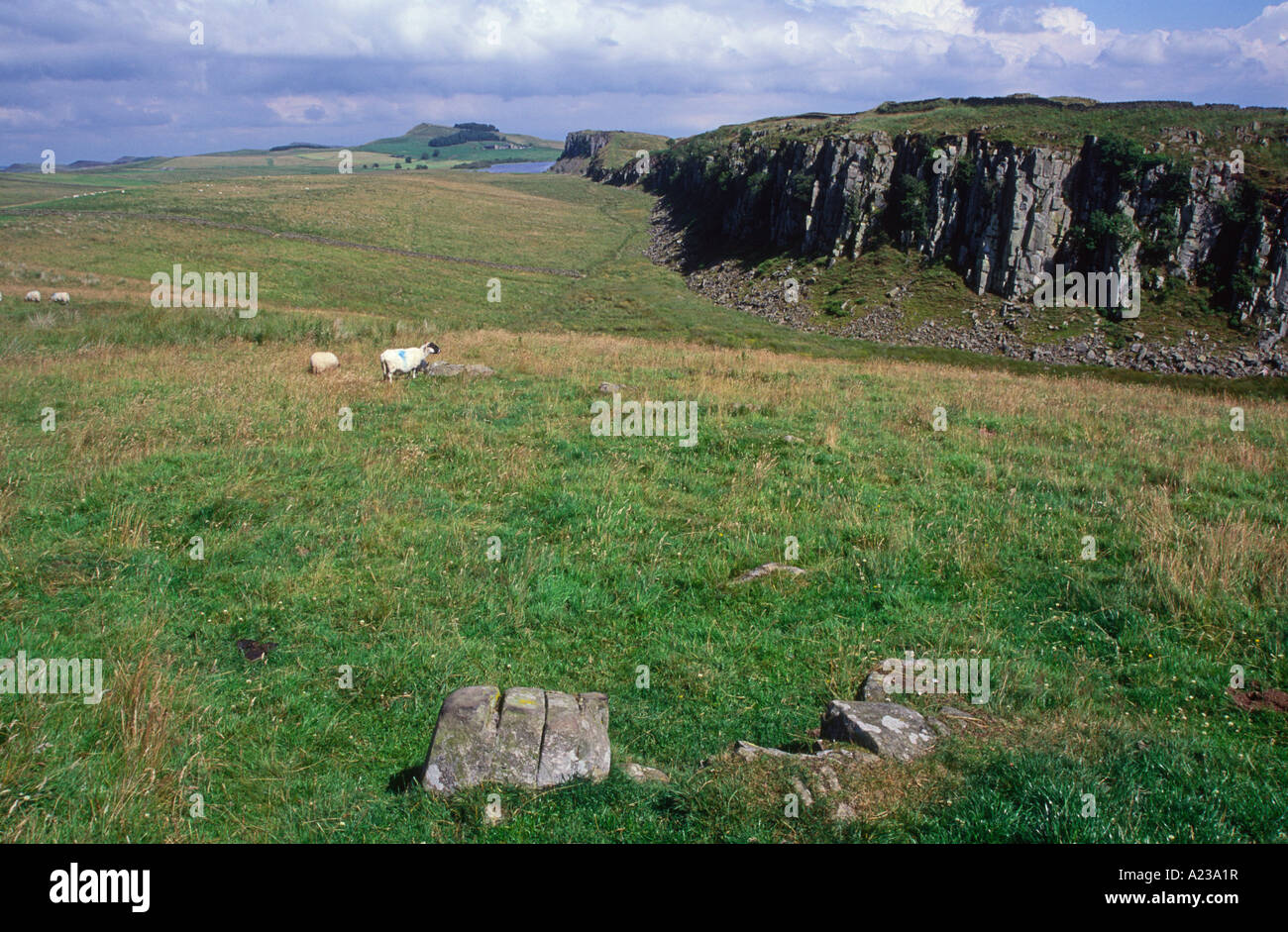Steel Rigg, Hadrian's Wall, Pennine Way, Northumberland Stock Photo - Alamy