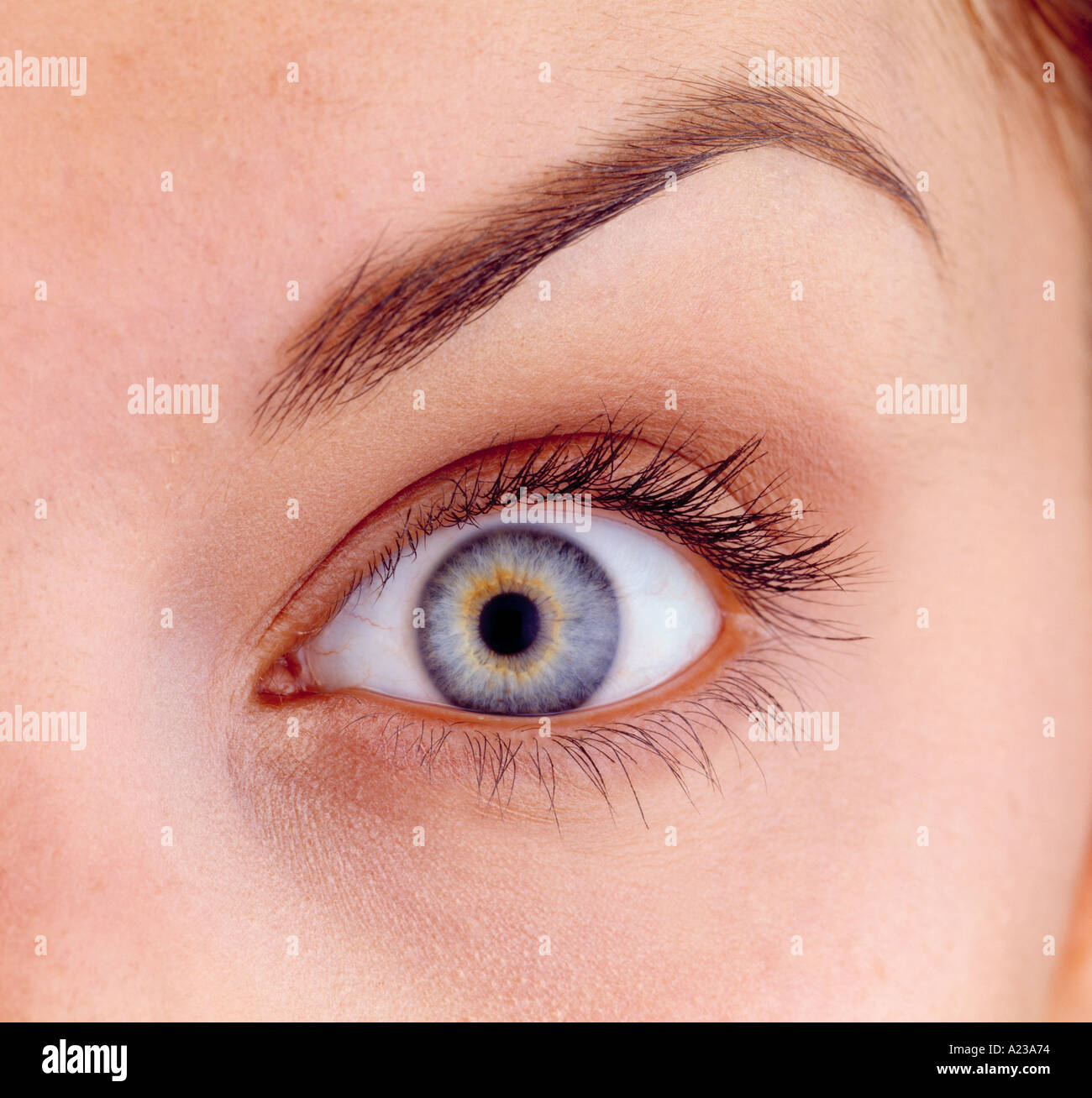 Shocked eyes close up hi-res stock photography and images - Alamy