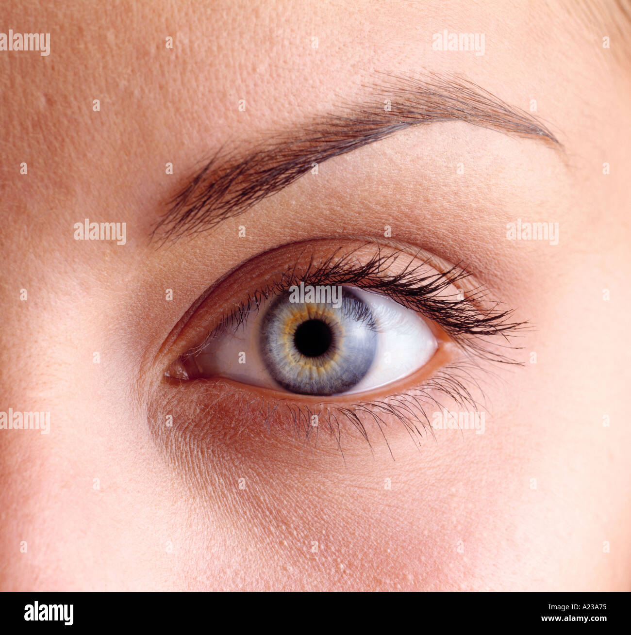 Eyes to camera eyeliner hi-res stock photography and images - Alamy