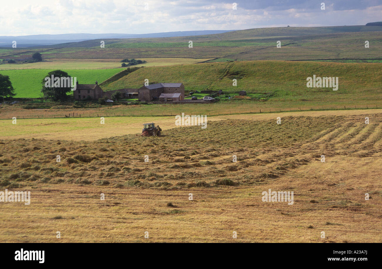 Farmer hay making north of Hadrian's Wall towards Black Fell ...