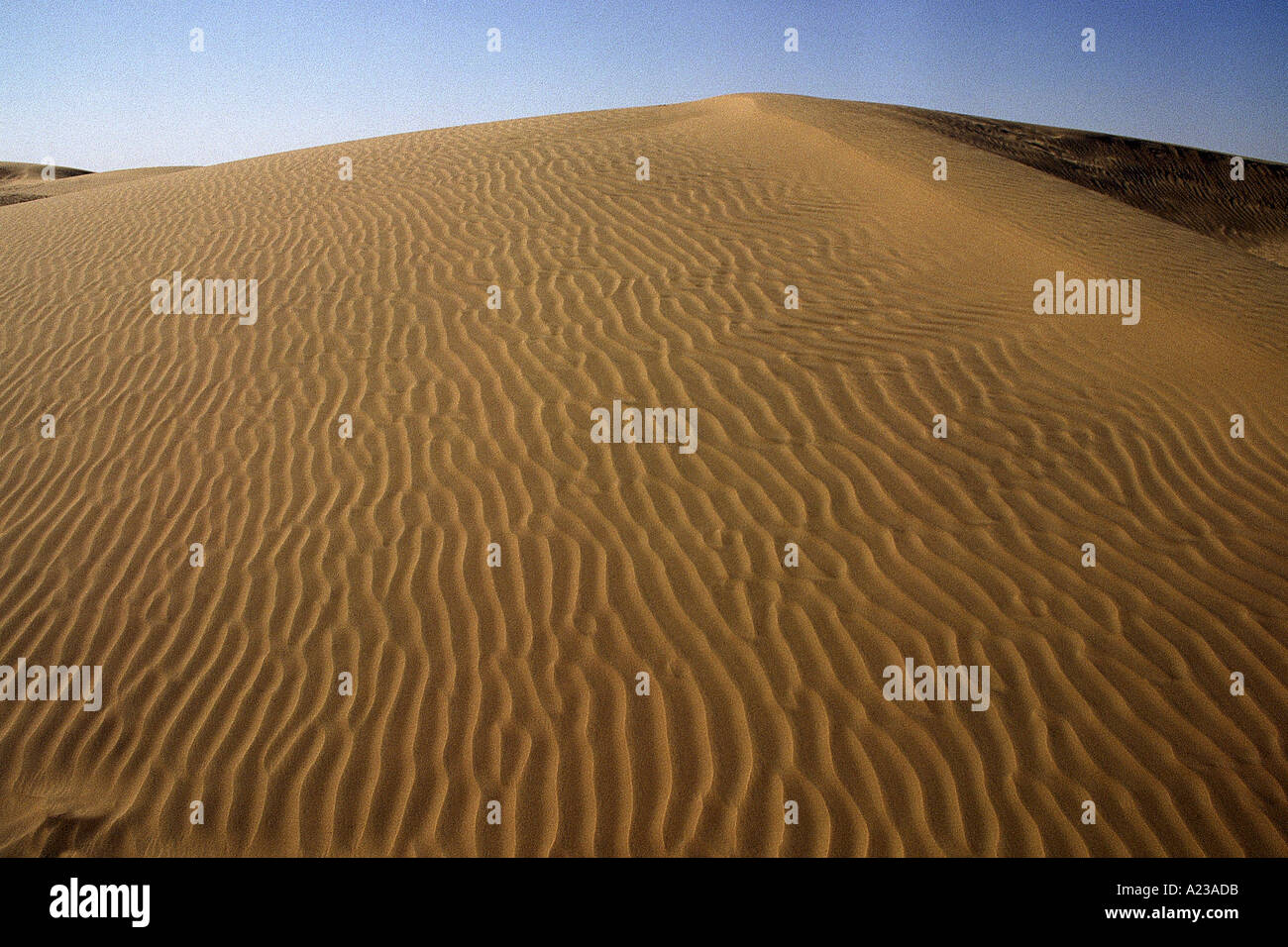 The desert of Jaisalmer. Rajasthan, India Stock Photo - Alamy