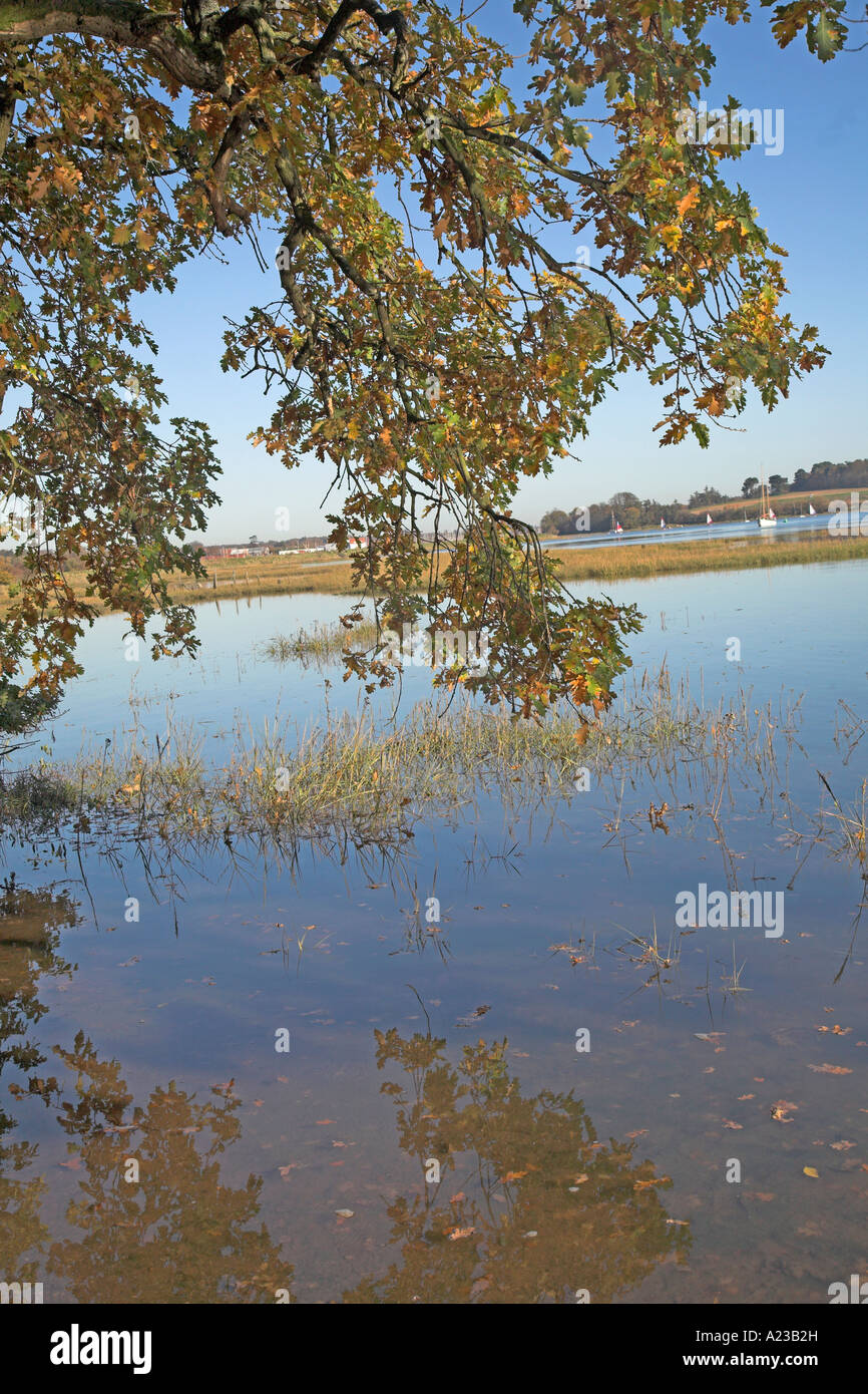 Kyson point hi-res stock photography and images - Alamy