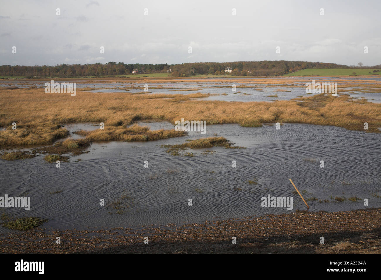 Innundation of Dingle marshes sea water flooding coastal bar breach by ...