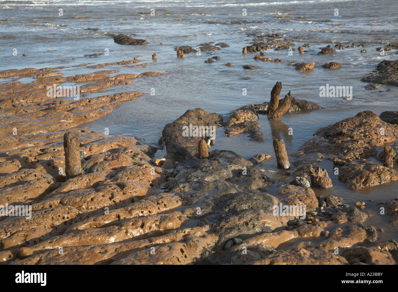 Wooden posts presumably dating from ancient Dunwich harbour in London ...