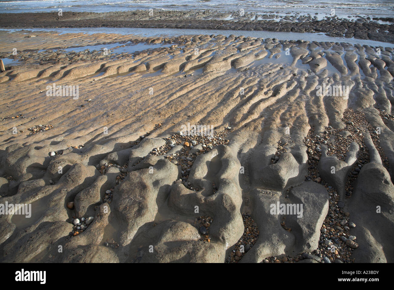 London Clay underlying shingle bar south of Walberswick, Suffolk ...