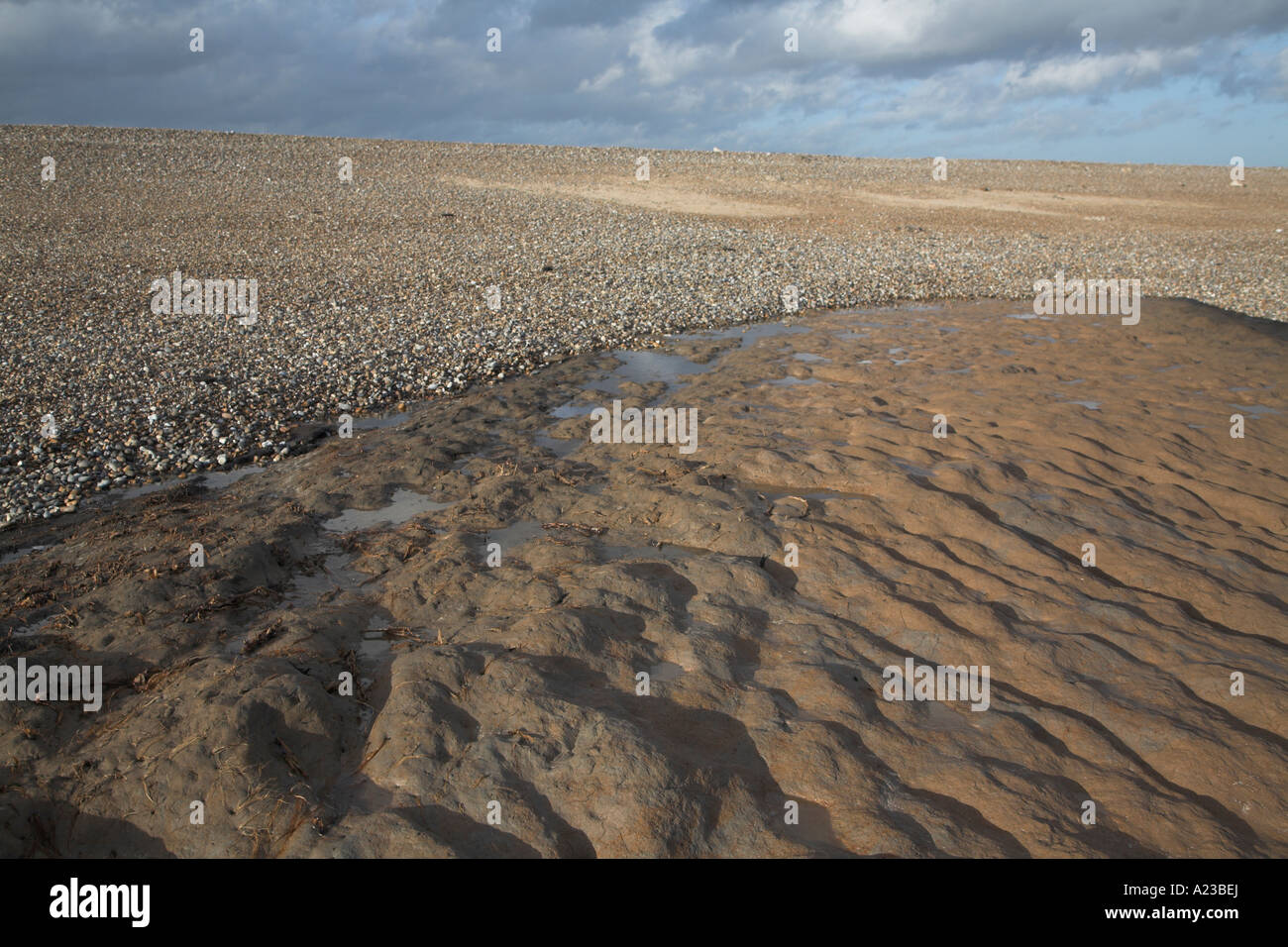Intertidal shingle hi-res stock photography and images - Alamy