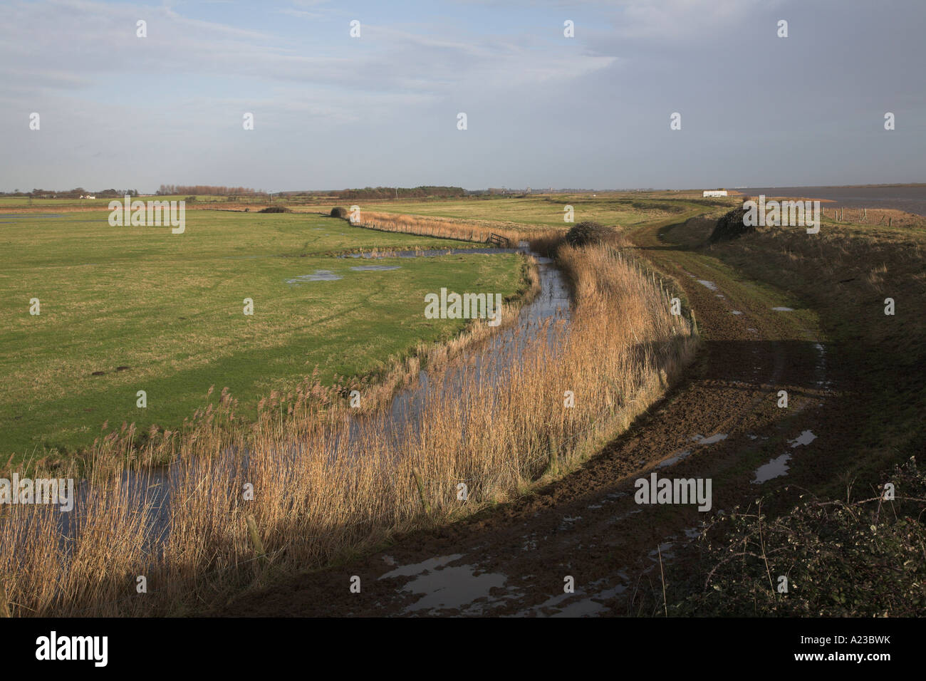 Land drainage dyke ditch hi-res stock photography and images - Alamy