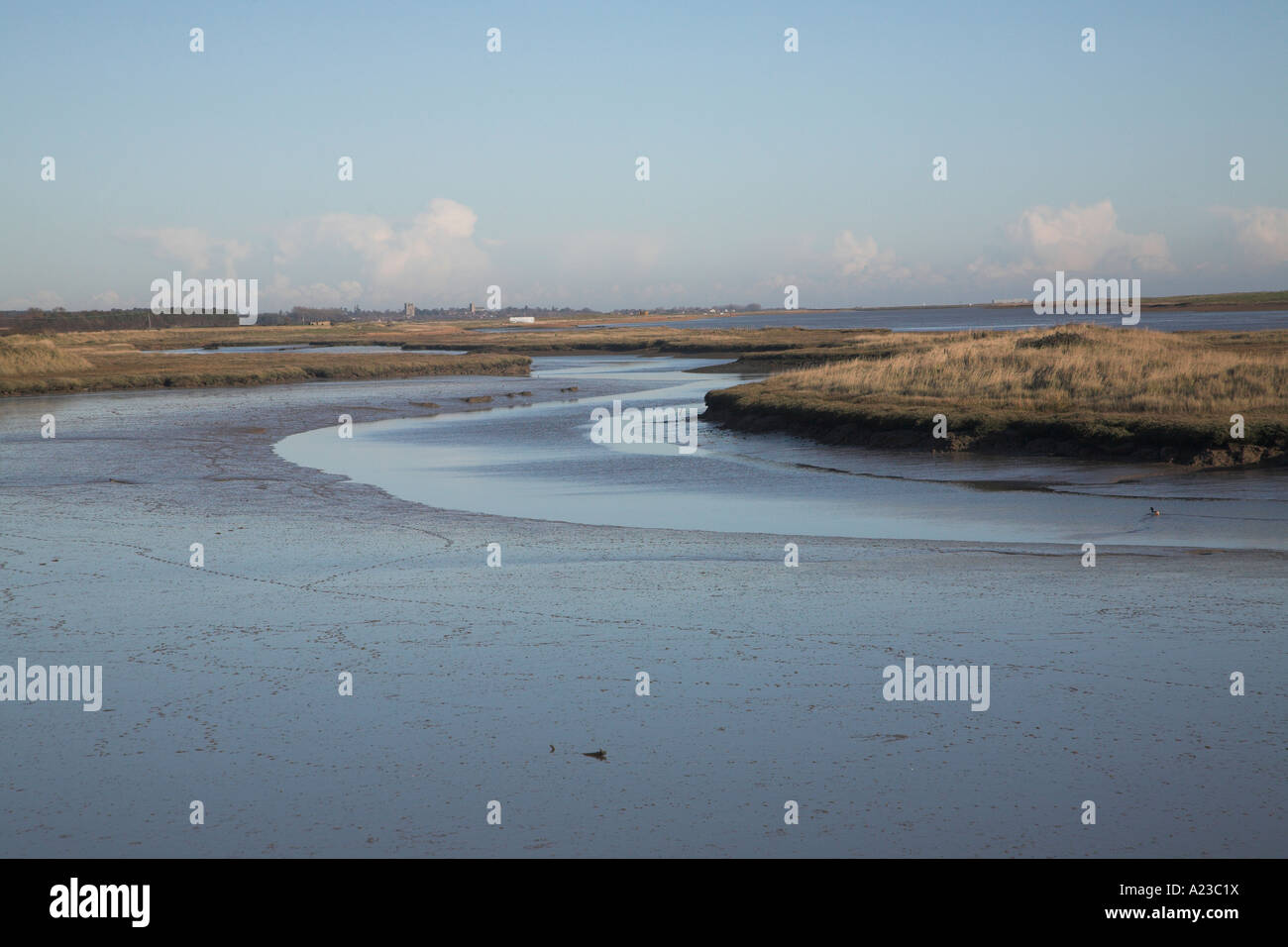 Salt marsh mudflats River Ore Orford Ness Suffolk England Stock Photo ...