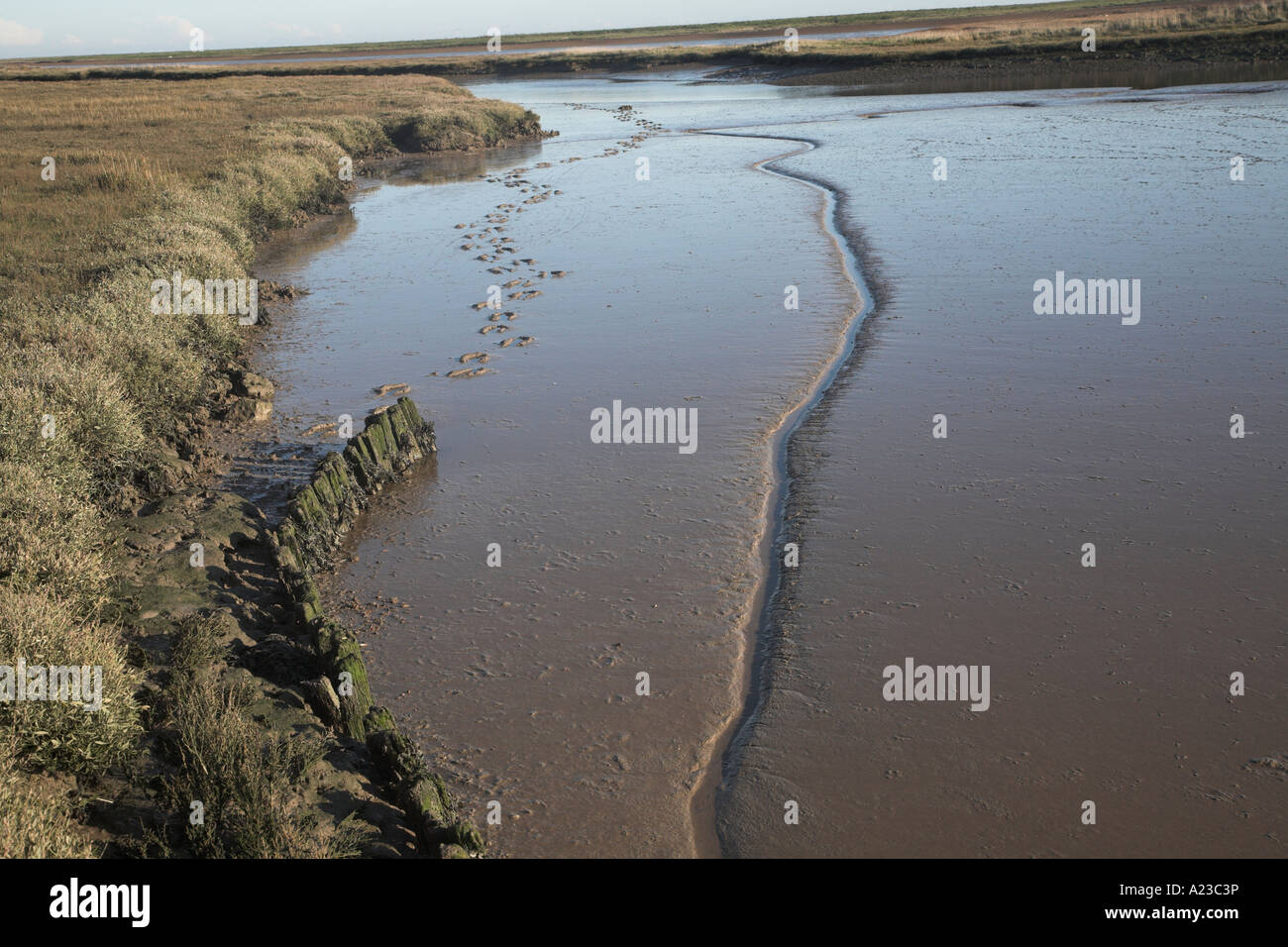 Salt marsh mudflats River Ore Orford Ness Suffolk England Stock Photo ...