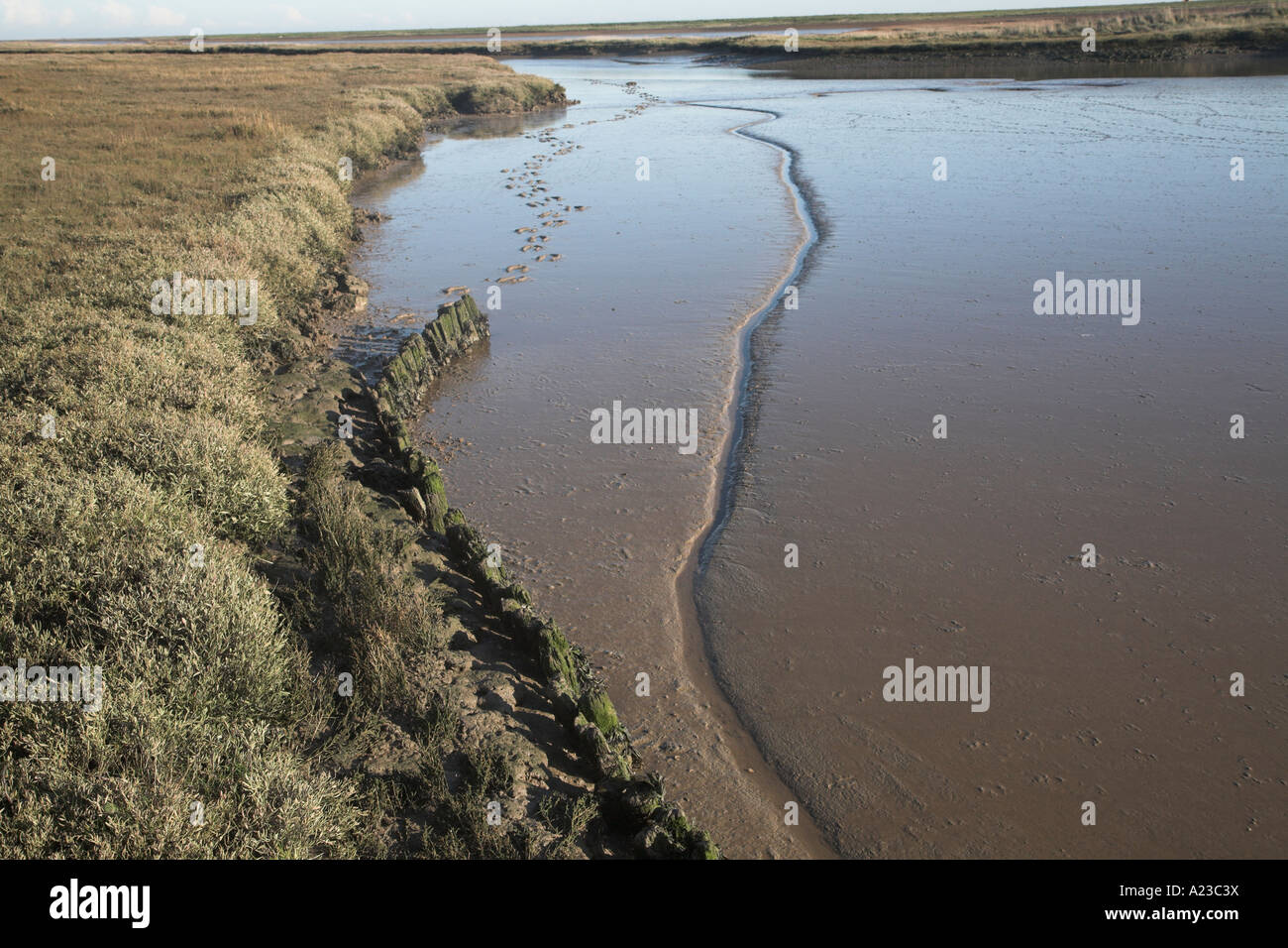 Salt marsh mudflats River Ore Orford Ness Suffolk England Stock Photo ...