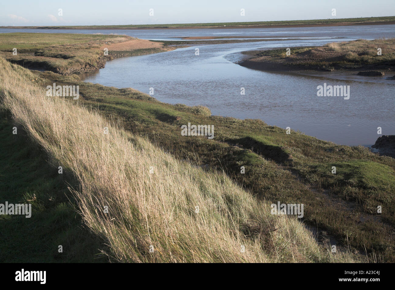 Salt marsh mudflats River Ore Orford Ness Suffolk England Stock Photo ...