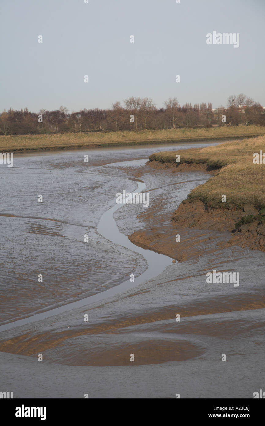 Salt marsh mudflats River Ore Orford Ness Suffolk England Stock Photo ...