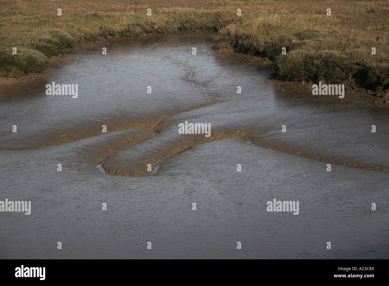 Salt marsh mudflats River Ore Orford Ness Suffolk England Stock Photo ...