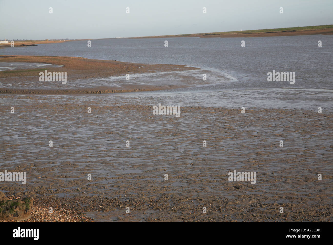 Salt marsh mudflats River Ore Orford Ness Suffolk England Stock Photo ...