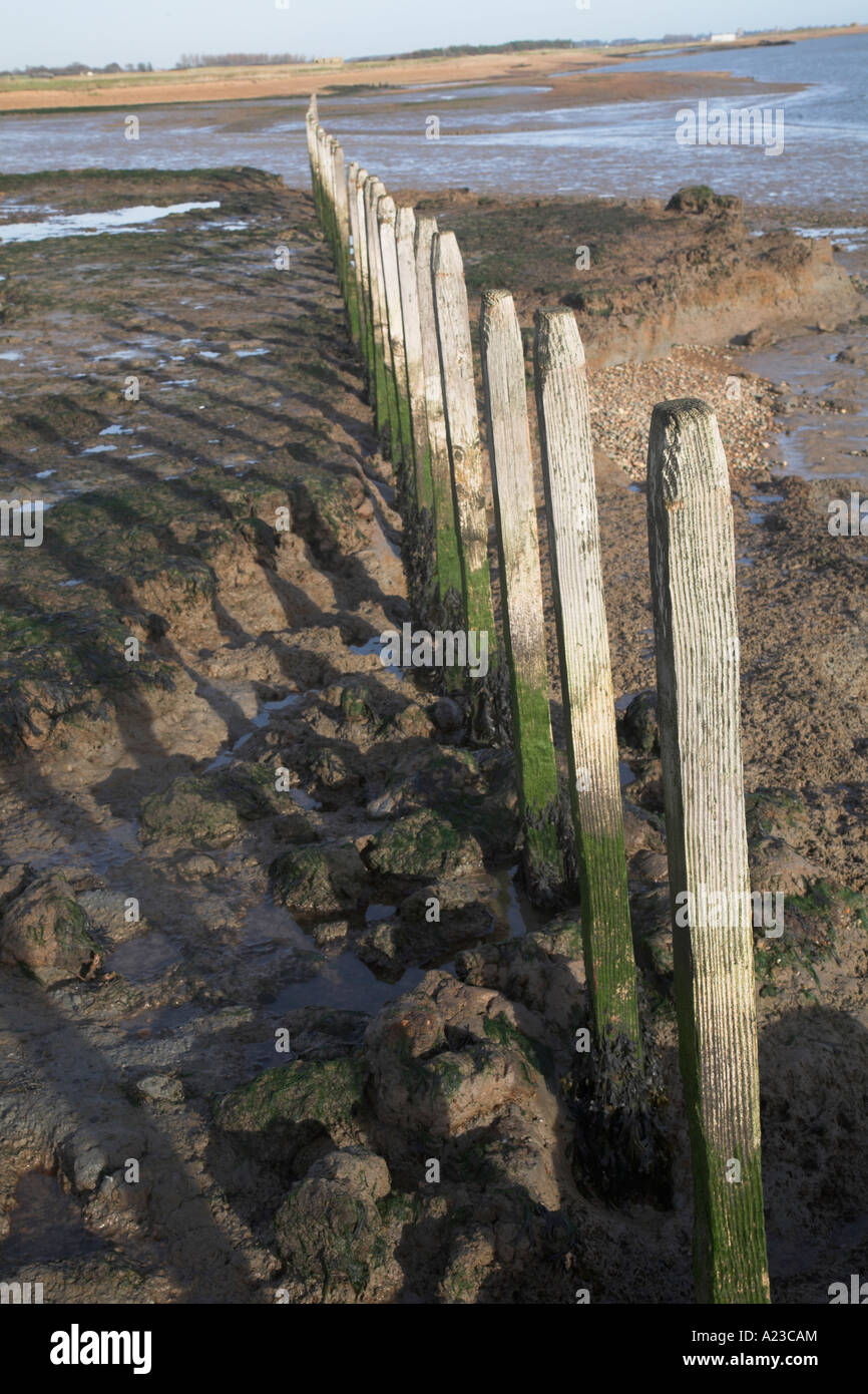 Salt marsh mudflats River Ore Orford Ness Suffolk England Stock Photo ...