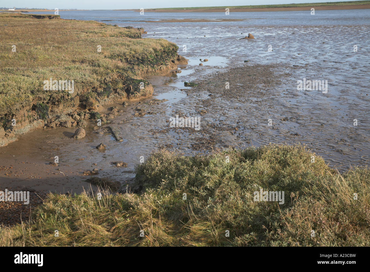 Salt marsh mudflats River Ore Orford Ness Suffolk England Stock Photo ...