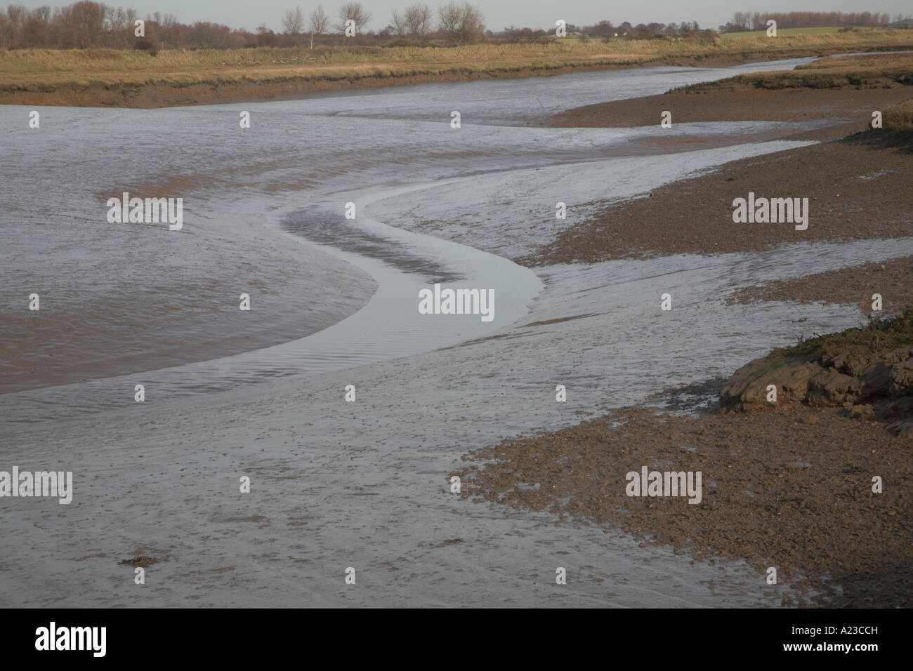 Salt marsh mudflats River Ore Orford Ness Suffolk England Stock Photo ...