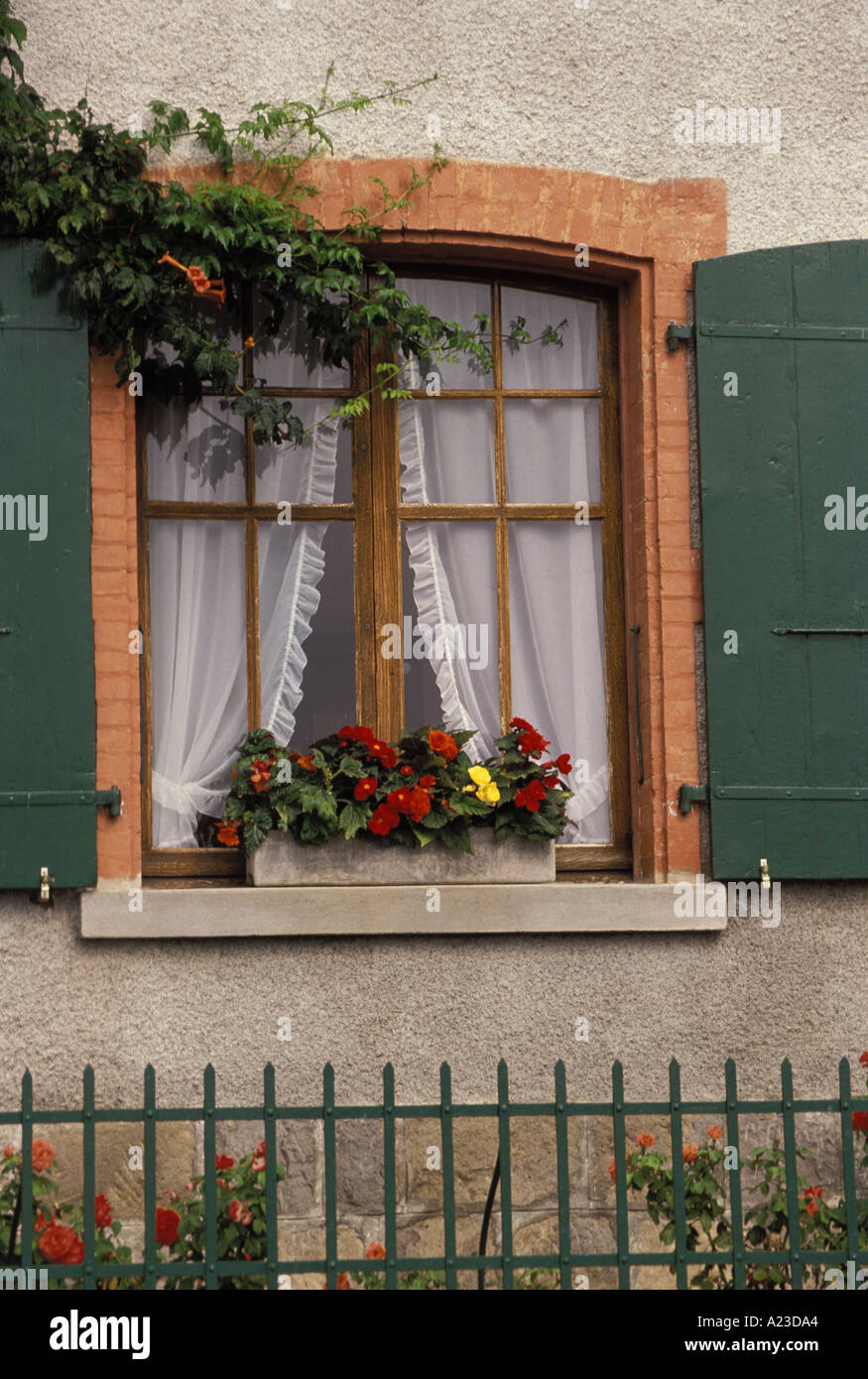 Swiss house with window flower box of begonias and iron fence for ...