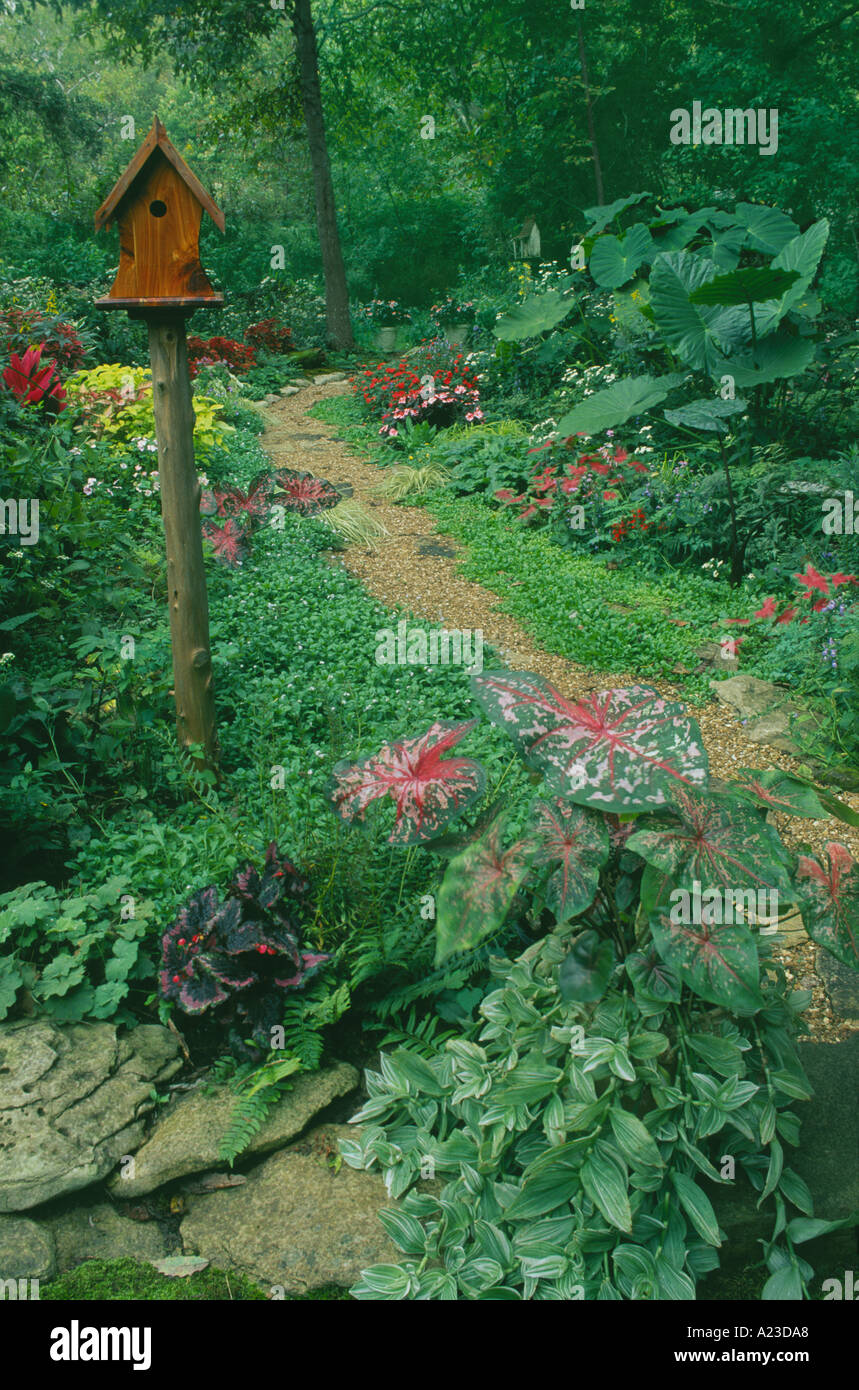 Coleus shade garden hi-res stock photography and images - Alamy