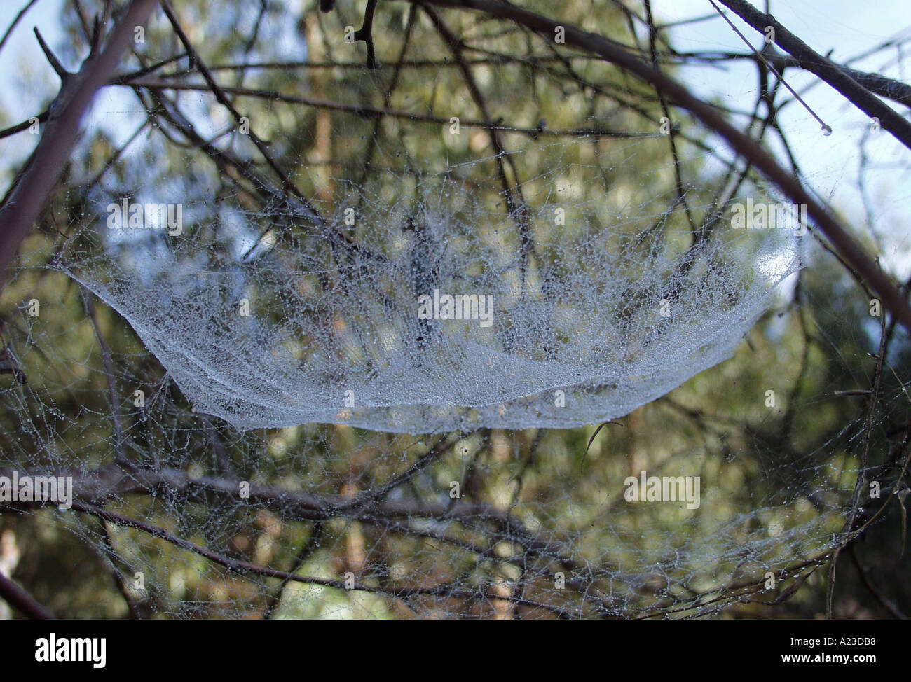 Bottom concave concave hi-res stock photography and images - Alamy