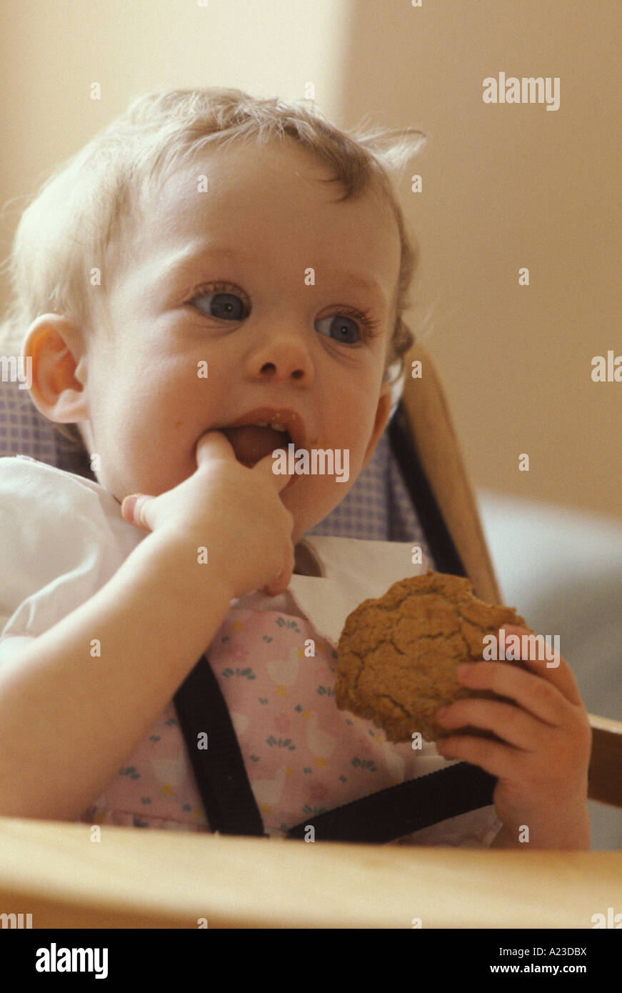 baby eating a rusk in her highchair Stock Photo - Alamy