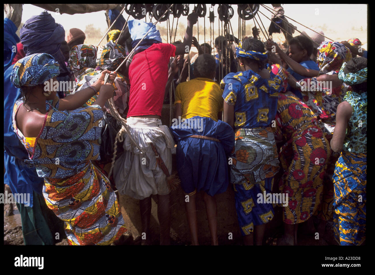 Young people collecting water from a well in the the Ferlo Senegal ...