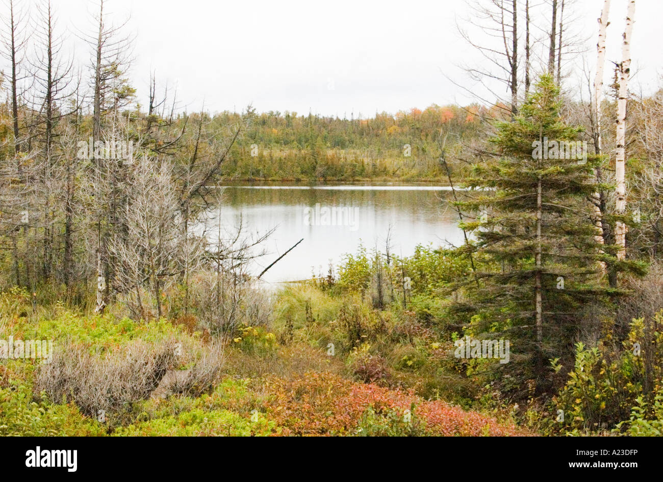 Fall Scene in Northern Ontario Stock Photo - Alamy