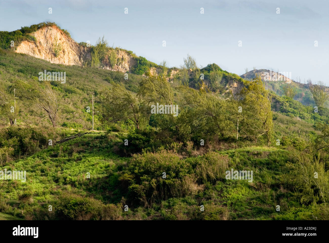 Limestone Cliffs Overlooking Rugged East Coast Hills, Road towards ...