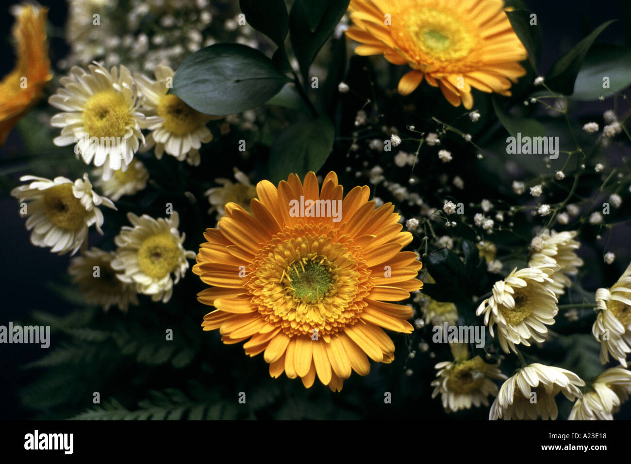 bouguet of flowers Stock Photo - Alamy