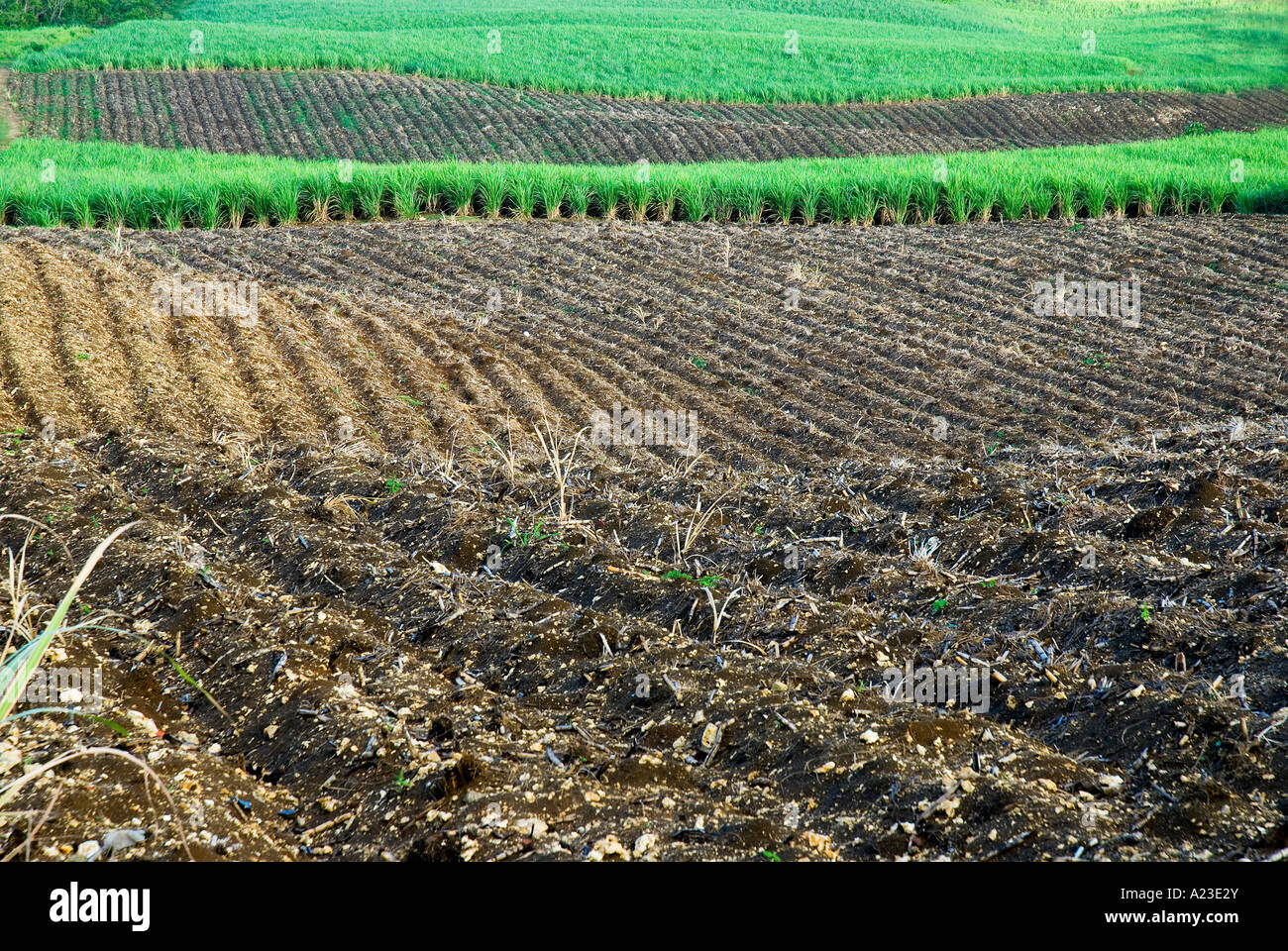 Tilled soil hi-res stock photography and images - Alamy