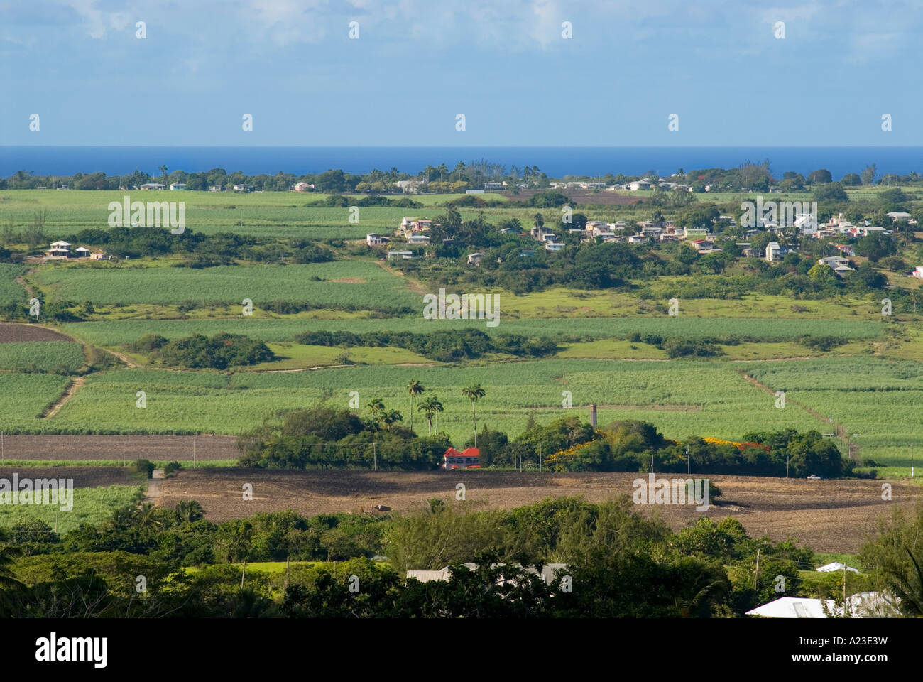 Sugarcane Plantation and Plantation House, St George, Barbados, 8/06 ...