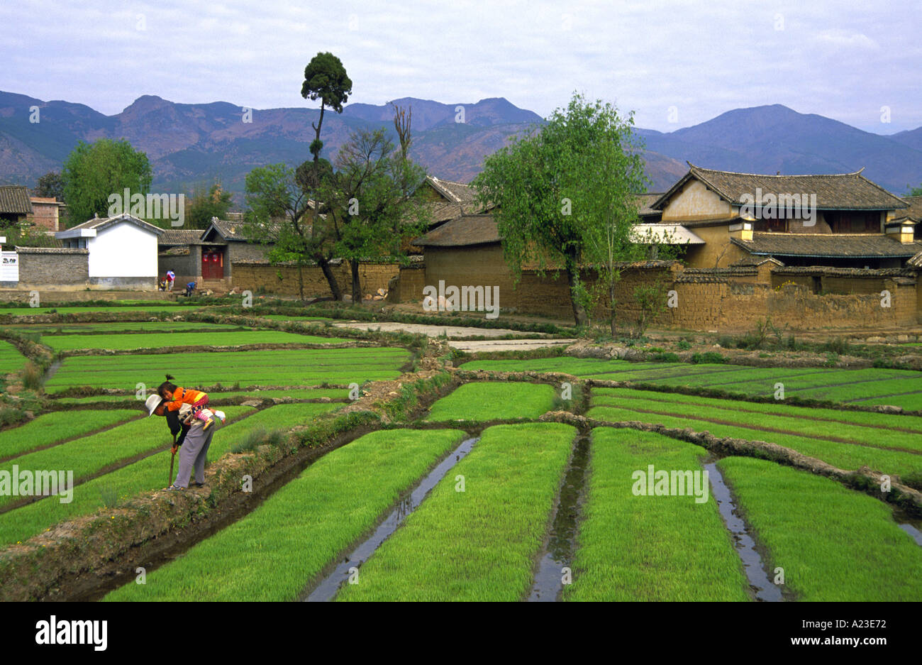 China farming global warming hi-res stock photography and images - Alamy
