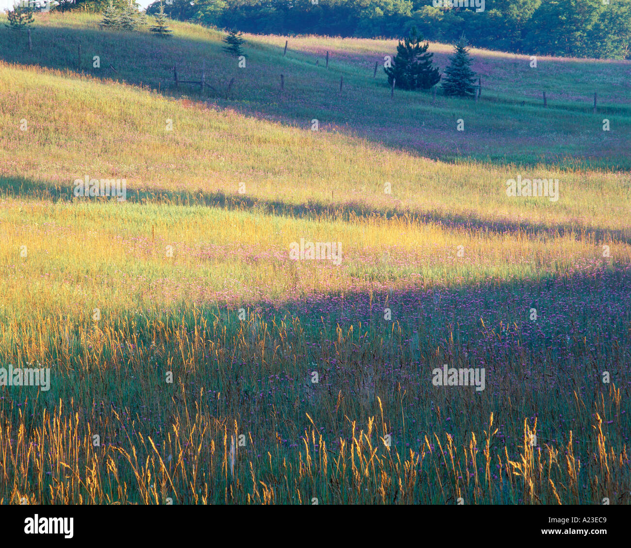 Midwestern meadow hi-res stock photography and images - Alamy
