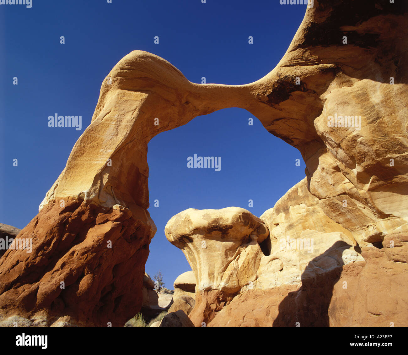 Metate Arch in Devils Garden Escalante Resource Area Utah USA Stock ...