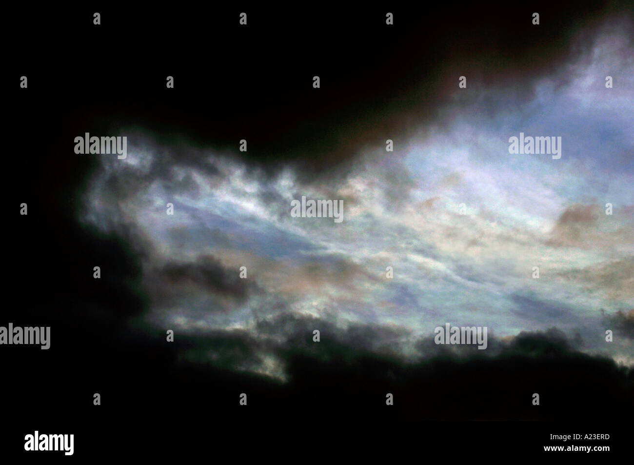 Dinosaur shapes hi-res stock photography and images - Alamy